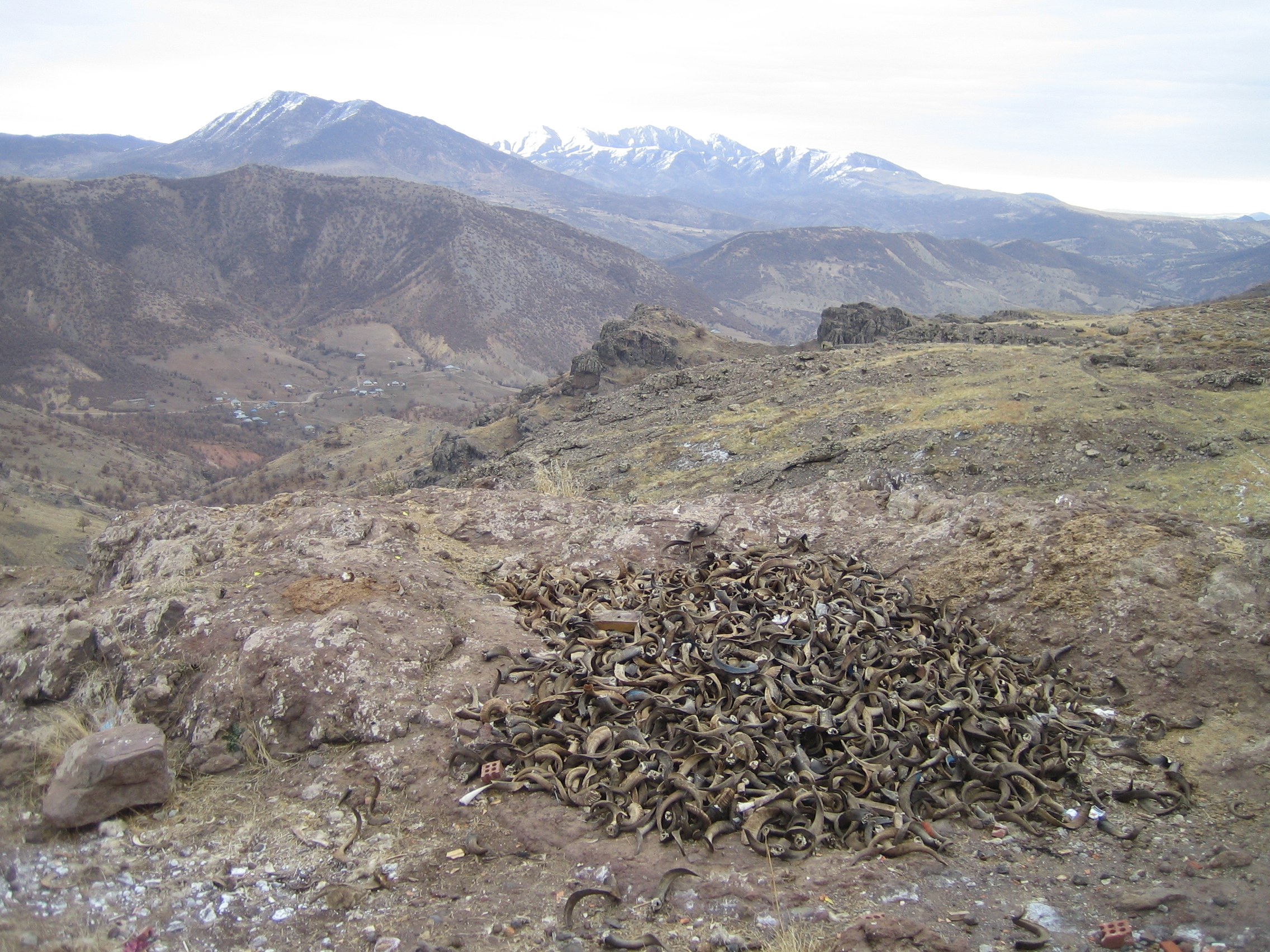 Abdal Musa Sultan (İsmail Kaygusuz) (Abdal Musa Sultan Şenlikleri ...